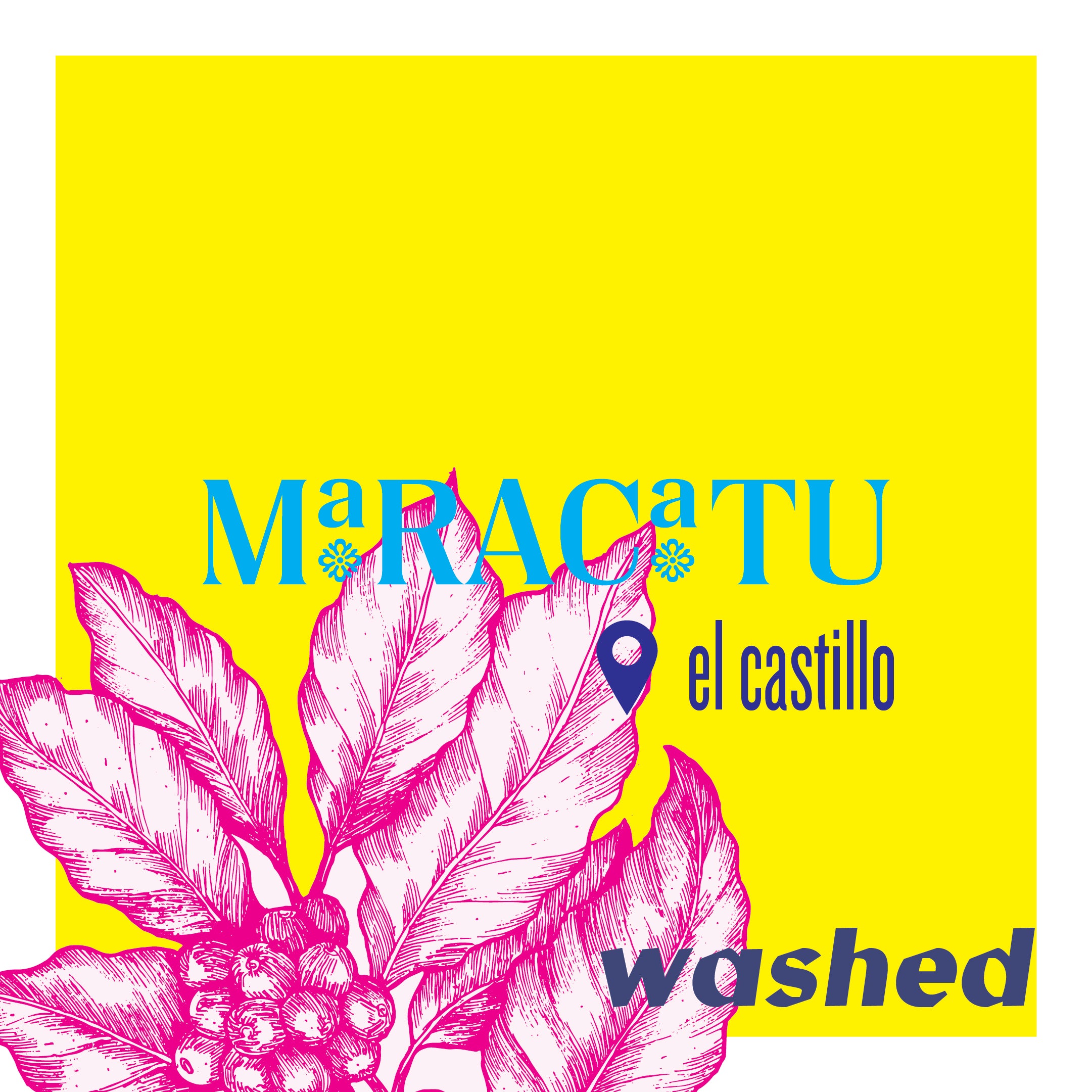 Maracaturra – Aroma Nica